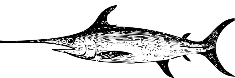 Swordfish Vector Images (over 2,300)