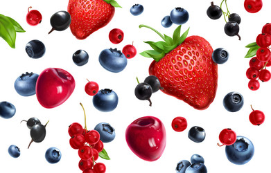 Berry borders with transparent background Vector Image