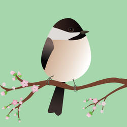 Chickadee Vector Images (over 430)
