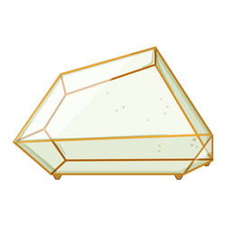 Plant terrarium glass cartoon Royalty Free Vector Image