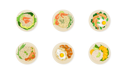 Steamed rice with tandoori chicken as indian dish Vector Image