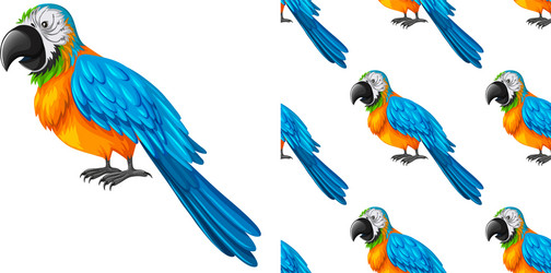 Parrotfish in cartoon style isolated on white Vector Image