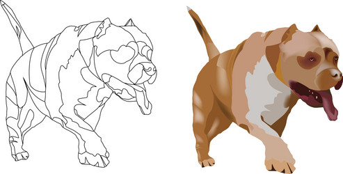 Muscular Pitbull Vector Images (over 100)