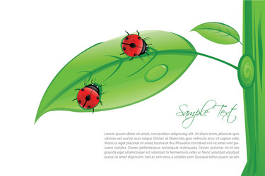 Ladybug Vector Images (over 22,000)