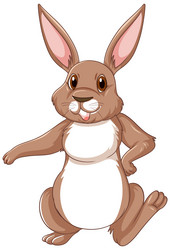 Cute brown rabbit cartoon character Royalty Free Vector