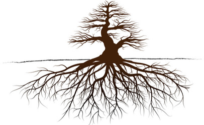 Tree roots Royalty Free Vector Image - VectorStock
