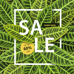 Tropical Vector Images (over 930,000)