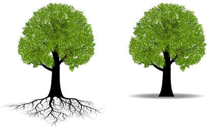 A large tree with thick crown Royalty Free Vector Image
