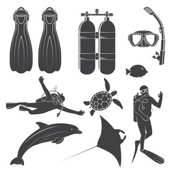 Set of diving equipment scuba gear Royalty Free Vector Image