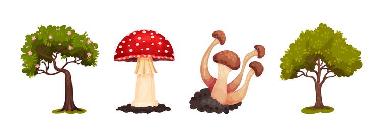 Forest landscape elements with mushroom tree Vector Image