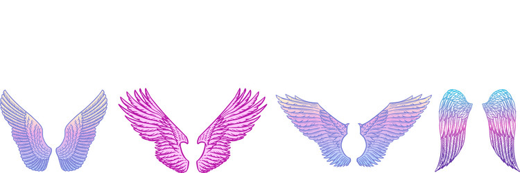 Wings set with white angel Royalty Free Vector Image