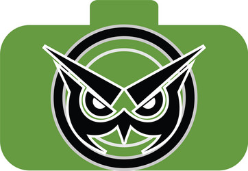 Owl logo and icon Royalty Free Vector Image - VectorStock