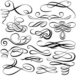 Calligraphy scroll elements decorative retro Vector Image