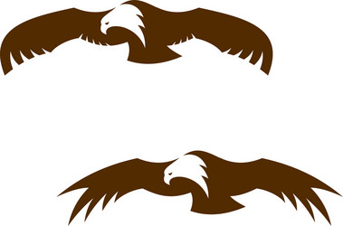 Flying Eagles Vector Images (over 30,000)