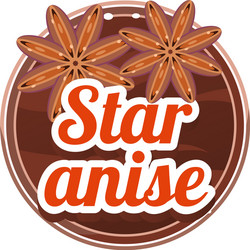 Star Anise Icon Vector Images (over 1,200)