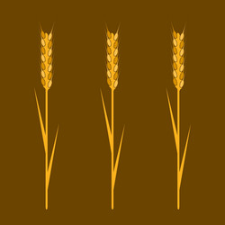Wheat Vector Images (over 120,000)