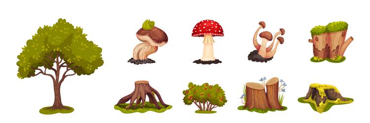 Forest landscape elements with tree stump Vector Image