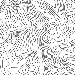 Topographic map pattern seamless background Vector Image