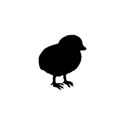 Baby Chick Silhouette