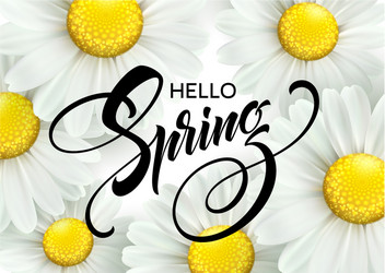 Calligraphic inscription hello spring Royalty Free Vector