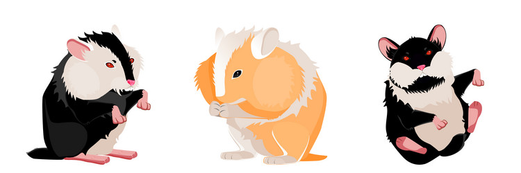 Hamster Realistic Vector Images (42)