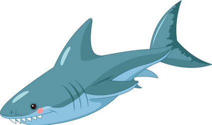 Cute shark Royalty Free Vector Image - VectorStock