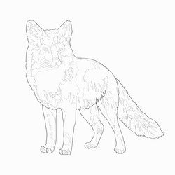 A fox black and white image Royalty Free Vector Image