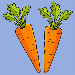 Carrots vegetable cartoon colored clipart Vector Image