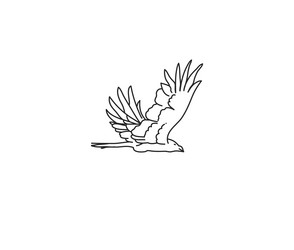 Raven in Flight Logo Symbol Vector Images (over 360)