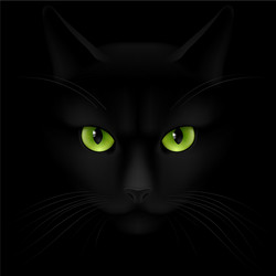 Intense Feline Eyes Royalty Free Vector Image - VectorStock