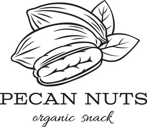 Pecan Draw Vector Images (over 490)