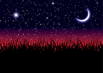 Midnight Vector Images (over 17,000)