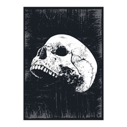 Skull Front Facing Vector Images (over 1,500)