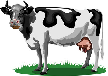 Cow Royalty Free Vector Image - VectorStock