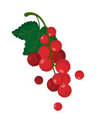 Black currant ripe cartoon Royalty Free Vector Image