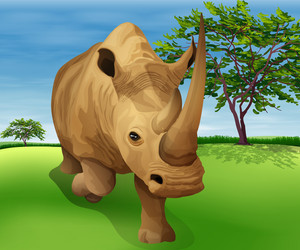 Cartoon rhinoceros Royalty Free Vector Image - VectorStock