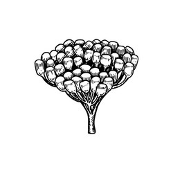 Flower Bunch Outline Vector Images (over 3,500)