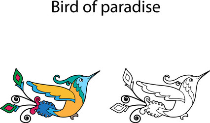 Funny cute hummingbird isolated on white Vector Image