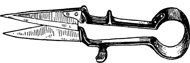 Sheep vintage Royalty Free Vector Image - VectorStock