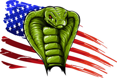 Snake mascot with american flag on white Vector Image