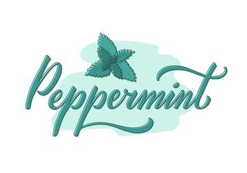 Peppermint Font Vector Images (over 120)