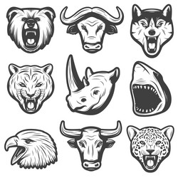 Colorful wild animals labels set Royalty Free Vector Image