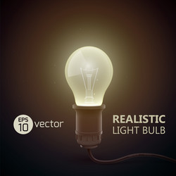 Real style light bulb infographic Royalty Free Vector Image