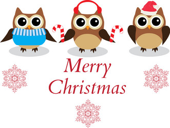 Merry christmas greeting background with an owl Vector Image
