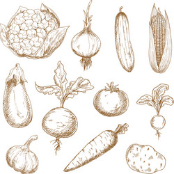 Vegetables Hand Drawing Vector Images (over 37,000)