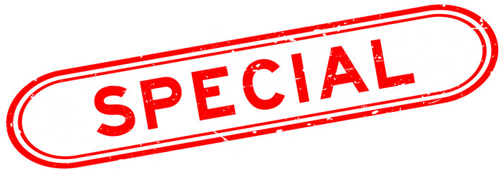 Special delivery sign or stamp Royalty Free Vector Image