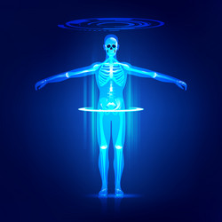 Skeleton scan Royalty Free Vector Image - VectorStock