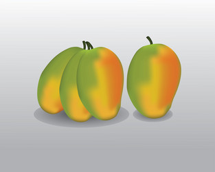 Green Mango Vector Images (over 4,400)