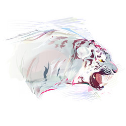 White Tiger Vector Images (over 48,000)