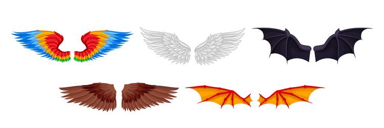 Colorful wings of different flying creature Vector Image